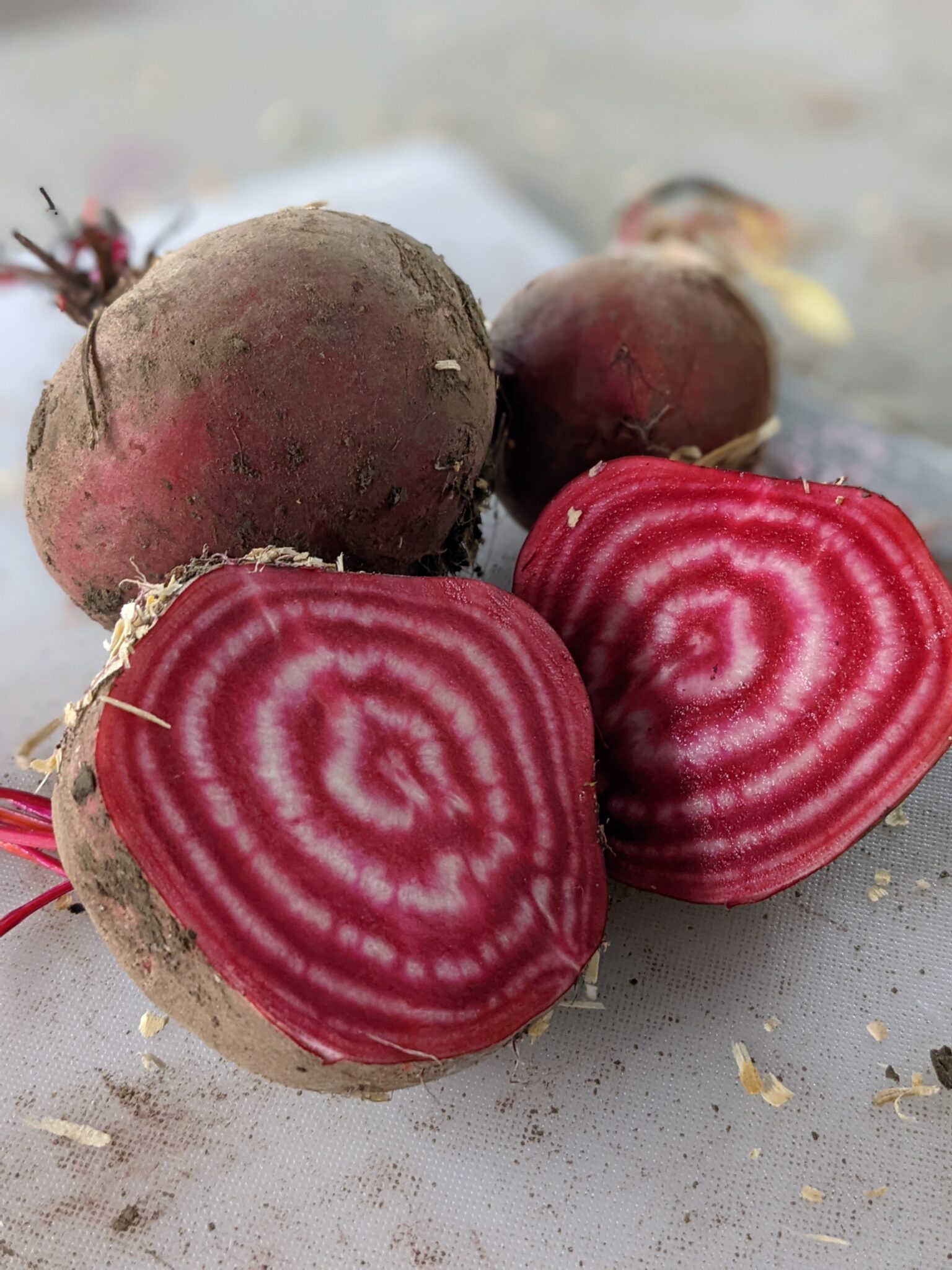 IFSI | » The Fascinating World of Beet Rings